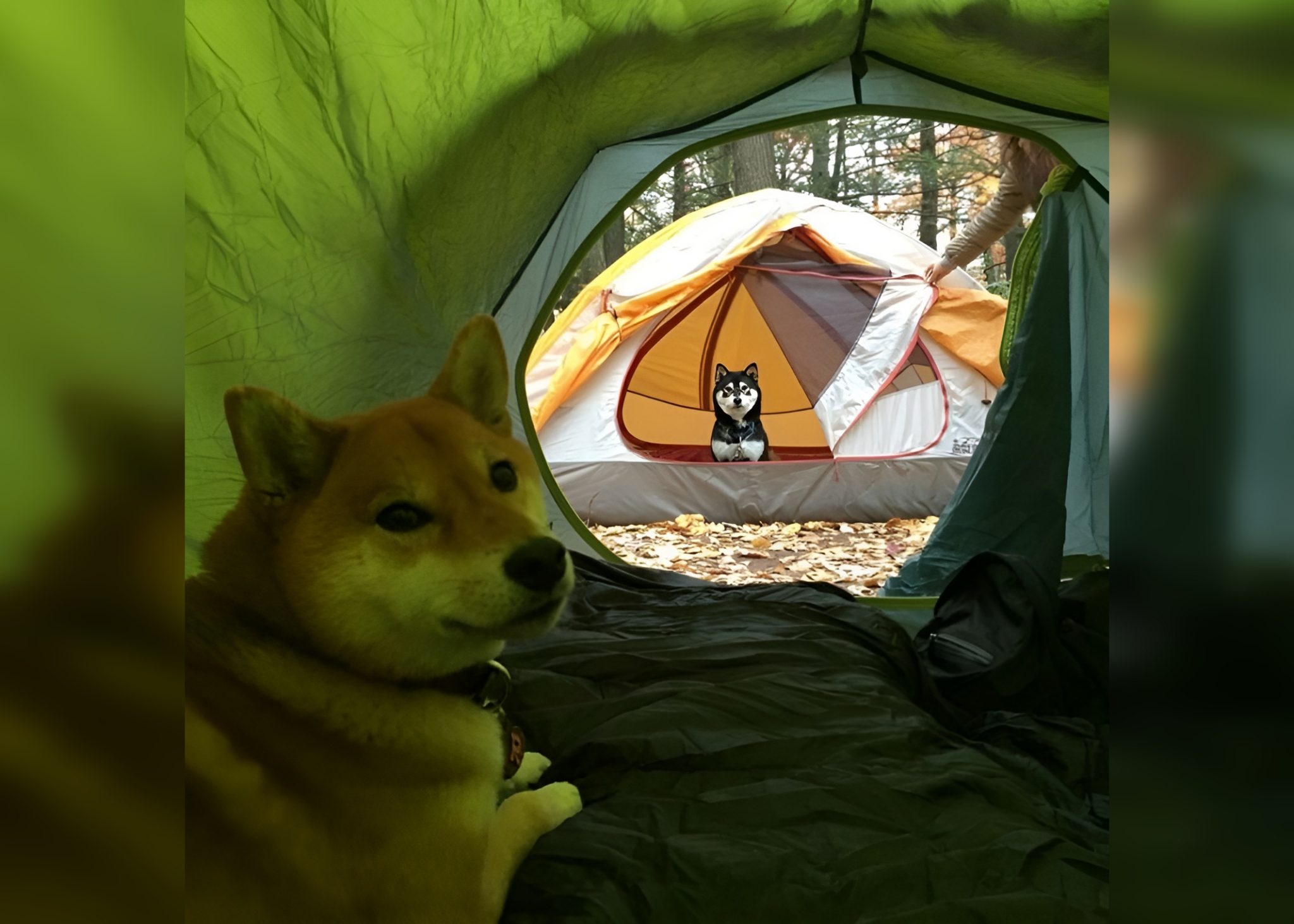 Top 30 Photos of Funny Camping Failures • Page 17 of 30 • 360photonews.com