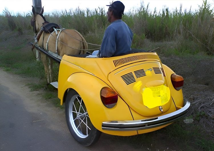 Car Capers Unleashed: Funny Moments on the Road • Page 20 of 30 ...