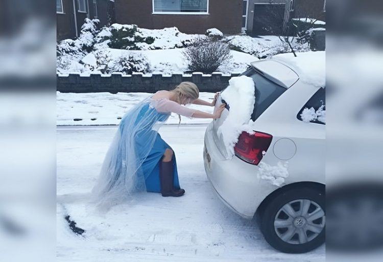 Car Capers Unleashed: Funny Moments on the Road • Page 4 of 30 ...